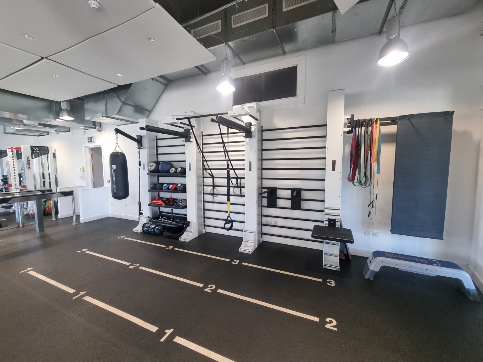 Queenax Wall System Functional Training Rig - Pinnacle Fitness